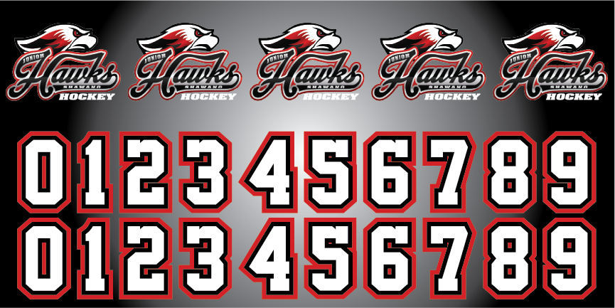 Shop SHAWANO HAWKS Hockey Helmet Decals KIT| BLADESHARK Sports