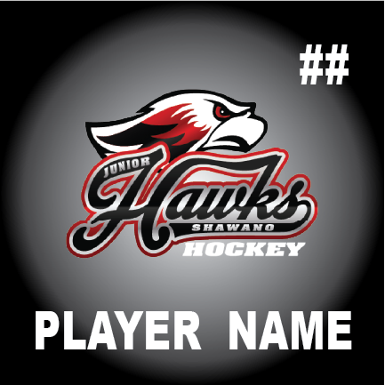 Shop SHAWANO HAWKS Hockey Car Decal| BLADESHARK Sports