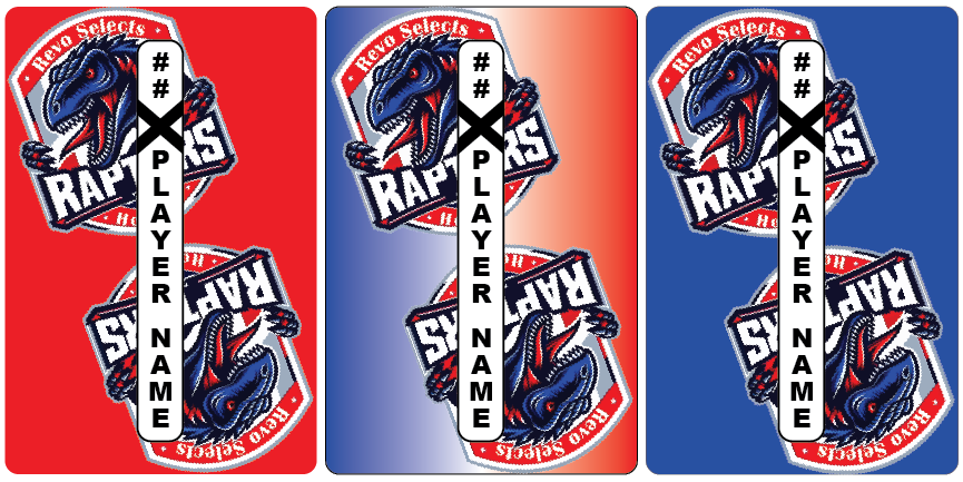 Shop REVO SELECTS RAPTORS Hockey Stick Shaft Labels| BLADESHARK Sports