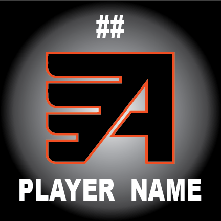 Shop AMES FLYERS Hockey Car Decal| BLADESHARK Sports