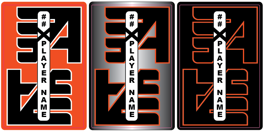 Shop AMES FLYERS Hockey Stick Shaft Labels| BLADESHARK Sports