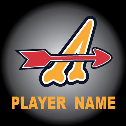 Shop ARMSTRONG ARROWS Hockey Car Decal| BLADESHARK Sports