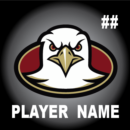 Shop BOSTON JR EAGLES Hockey Car Decal| BLADESHARK Sports