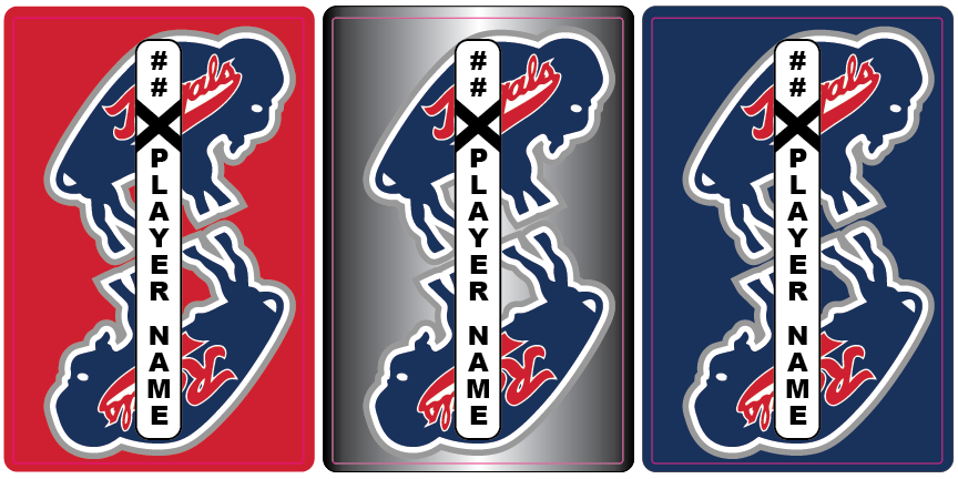 Shop BUFFALO REGALS Hockey Stick Shaft Labels| BLADESHARK Sports