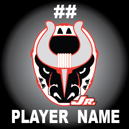 Shop BIRMINGHAM JR BULLS Hockey Round Car Decal| BLADESHARK Sports