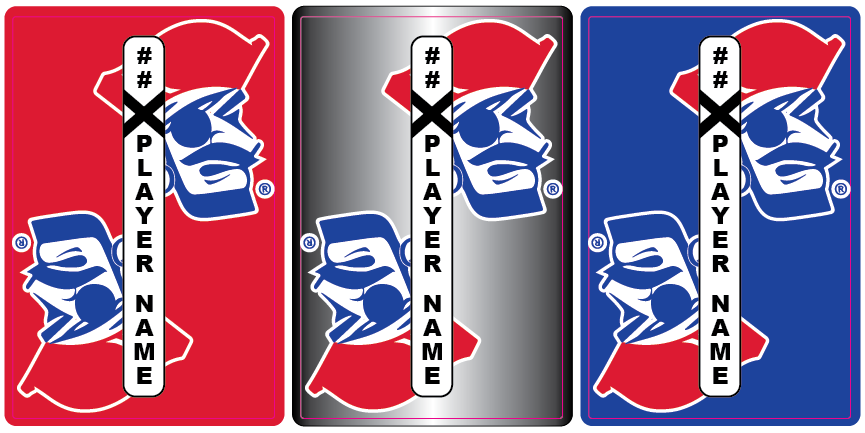 Shop DES MOINES JR BUCS Hockey Stick Shaft Labels| BLADESHARK Sports