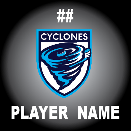 Shop FLORIDA CYCLONES Hockey Car Decal| BLADESHARK Sports