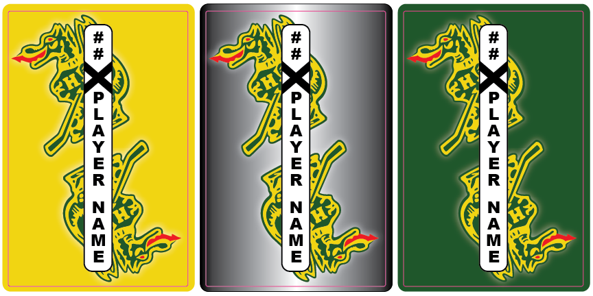 Shop HAMDEN DRAGONS Hockey Stick Shaft Labels| BLADESHARK Sports
