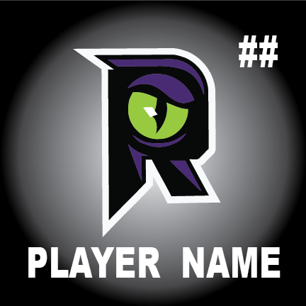 Shop ROCHESTER RAPTORS Hockey Car Decal| BLADESHARK Sports