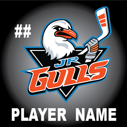 Shop SAN DIEGO JR GULLS Hockey Car Decal| BLADESHARK Sports