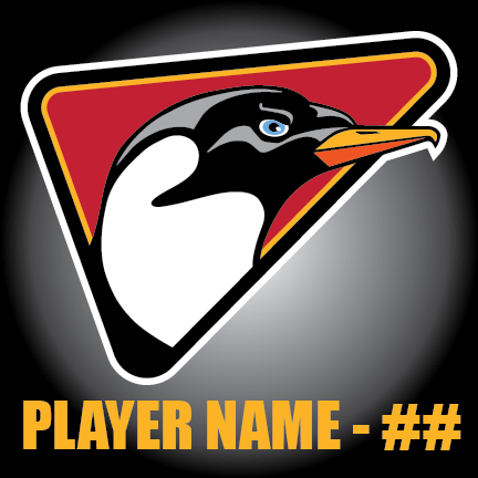Shop DALLAS PENGUINS Hockey Car Decal| BLADESHARK Sports