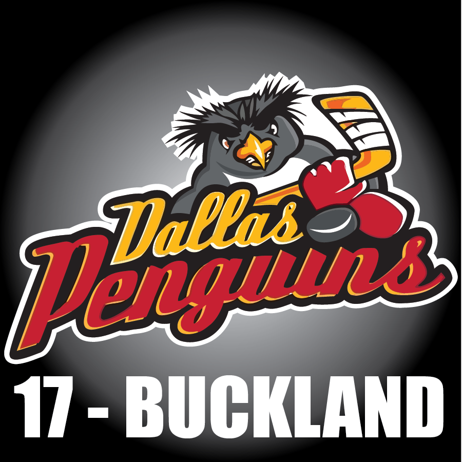 Shop DALLAS PENGUINS Hockey Car Decal| BLADESHARK Sports