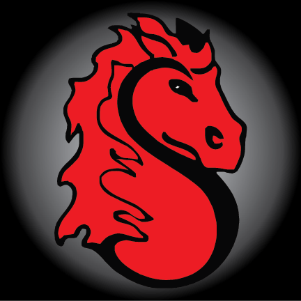 Stillwater Pony Logo Shop STILLWATER PONIES Helmet Decals| BLADESHARK