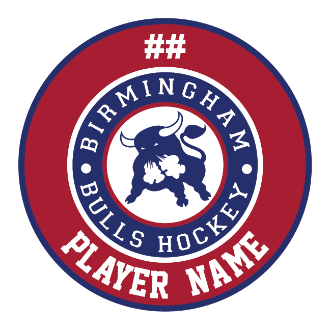 Shop BIRMINGHAM BULLS Hockey Magnet| BLADESHARK Sports